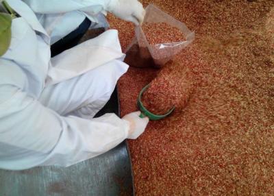 China Sabor forte Yidu provindo esmagou flocos vermelhos dos pimentões para o tempero da pizza à venda