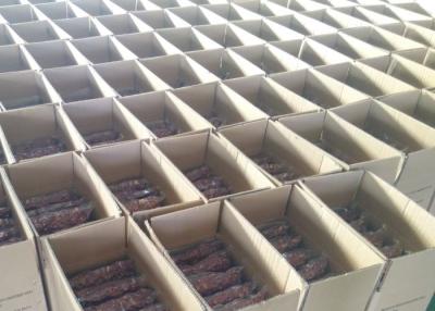 China Sabor forte Yidu provindo esmagou flocos vermelhos dos pimentões para o tempero da pizza à venda