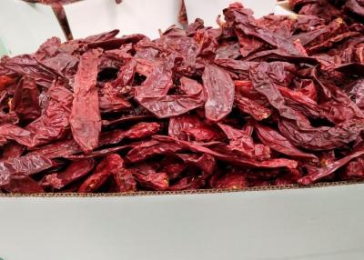 Cina Una polvere di 10 peperoncini rossi di PPB che condisce 100 Scoville Chili Barbecue Powder dolce in vendita