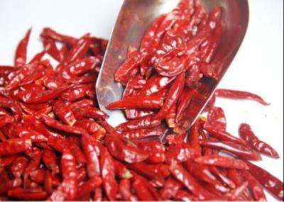 China De culinaire Rode Spaanse pepers van Tianjin een Rang Droog Roodgloeiend Chili Peppers Te koop
