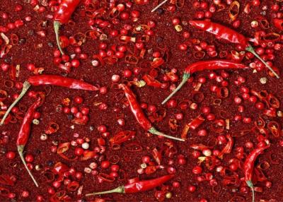 Cina Polvere Xinglong Chili Powder rosso delicato del peperoncino di Kimchi 40M in vendita