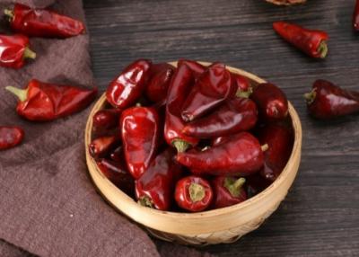 China Classifique uma pimenta de caiena vermelha secada de Chili Pods Pungent Xinglong Dried à venda