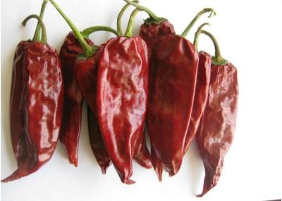 China De droge Lange Rode Peper van Spaanse pepers Zoete Organische Guajillo 10cm Lengte Te koop