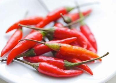 Cina Lunghezza secca piccante CASCER dei peperoncini rossi 40mm del Cile De Arbol 25KG del pepe in vendita