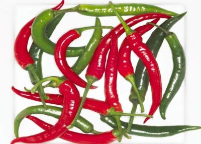 Cina Lunghezza secca piccante CASCER dei peperoncini rossi 40mm del Cile De Arbol 25KG del pepe in vendita