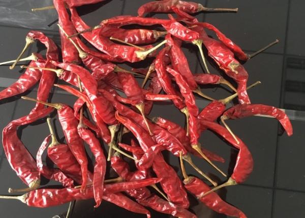 Chilis sec par Erjingtiao acaule a stérilisé les piments entiers piquants