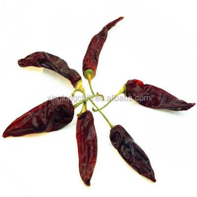 Cina Il nuovo premio del raccolto ha asciugato il peperoncino rosso di Guajillo in vendita