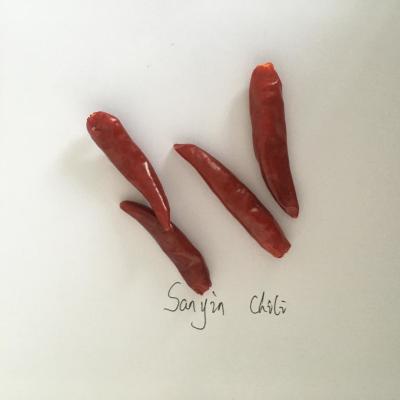 Cina 7CM hanno asciugato l'iso rosso lungo di SHU Dehydrated Tianjin Chili dei peperoncini rossi 50000 in vendita