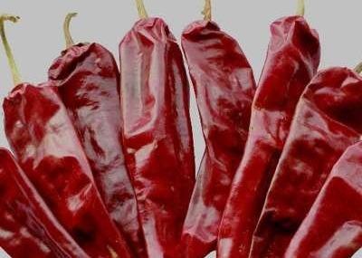 Cina Il nuovo premio del raccolto ha asciugato il peperoncino rosso di Guajillo in vendita
