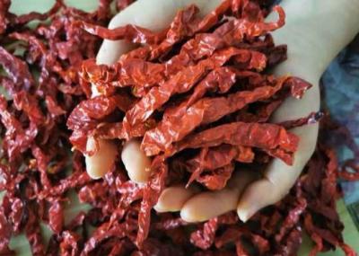 Cina Peperoni seccati al sole piccanti 10000SHU di Xian Chilli 15CM di fragranza in vendita