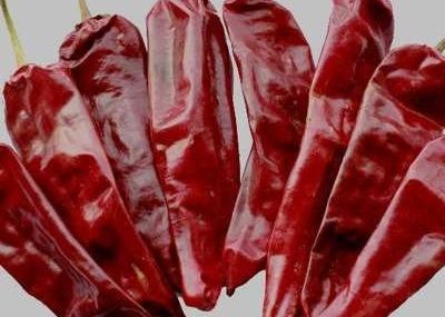 Os pimentões secados marinadas de Jinta secaram a paprika quente das pimentas vermelhas