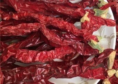 Cina Spezie materiali asciutte di Chili Hot Pot Seasoning Raw del pepe del miglio di Guizhou Mantianxing in vendita