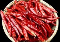 Cina Pimenta di cayena rossa essiccata a bassa umidità 12% Max 1% Alta purezza in vendita