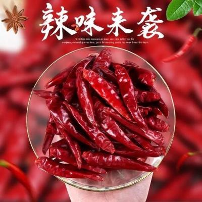 Cina Tientsin Tien Tsin Dried Red Chilli pepa per la cottura dell'ingrediente in vendita