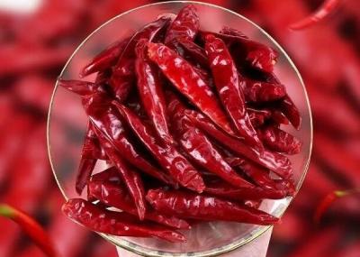 Cina Tientsin Tien Tsin Dried Red Chilli pepa per la cottura dell'ingrediente in vendita