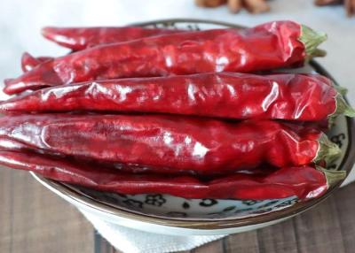 Cina I peperoncini rossi secchi delicati non irradiati 4-7 cm hanno cotto a vapore l'umidità di meno di 11% in vendita