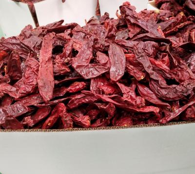 China 8000SHU Pimenta Guajillo Seca Orgânica 10 - 20cm Saco Selado a Vácuo à venda
