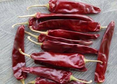China Dehydrated 15% Moisture Red Guajillo Chili Pepper Sweet Cherry for sale