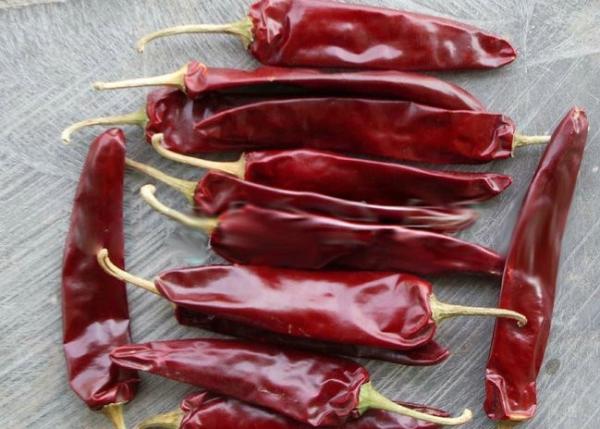 Os pimentões secados marinadas de Jinta secaram a paprika quente das pimentas vermelhas