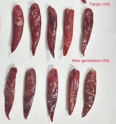 Cina 20.000 SHU Dried Chaotian/peperoncini rossi di Sanying per la cottura di cucina in vendita