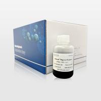 Quality Protein A Magnetic Beads Protein Purification Highly Effective Antibody Binding for sale