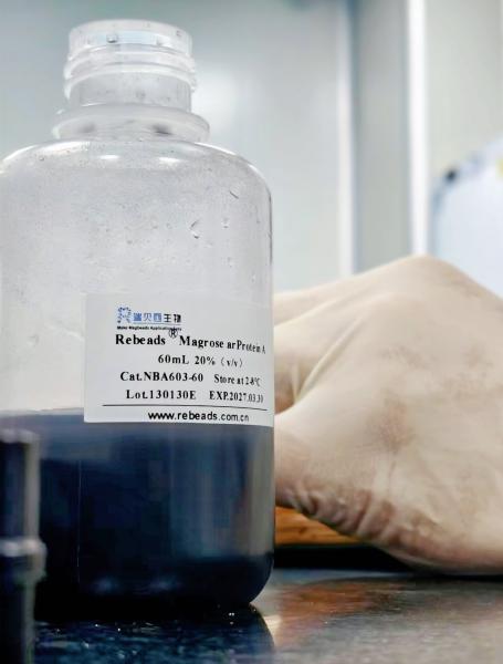 Quality Effective Magrose Ni NTA Magnetic Beads For Research Use Only for sale