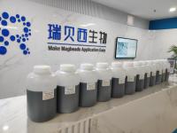 Quality Rebeads Cfdna Special A Cf-Dna Extraction Cell Free DNA Extraction 300nm for sale