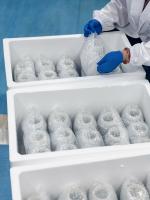 Quality Rebeads CfDNA Special B Cf-DNA Extraction Cell Free DNA Purification Exceptional for sale