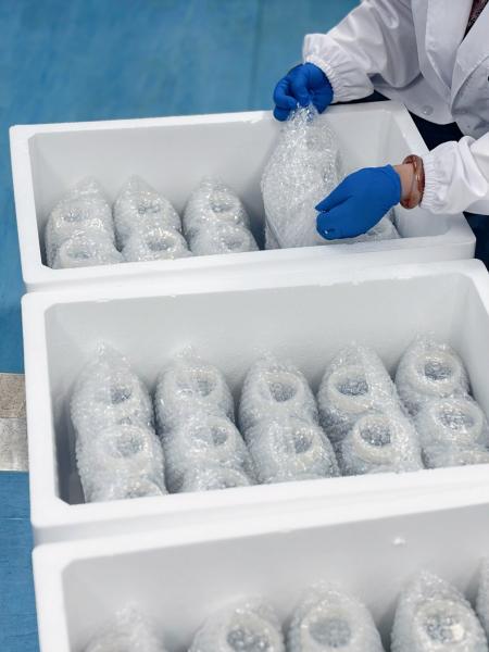 Quality Rebeads CfDNA Special B Cf-DNA Extraction Cell Free DNA Purification Exceptional for sale