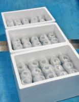 Quality Rebeads CfDNA Special C Cf-DNA Extraction Cell Free DNA Extraction Magnetic for sale