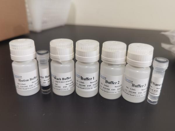 Quality Mag Beads Big Volume Plasmid DNA Extraction Kit For Molecular Experiments for sale