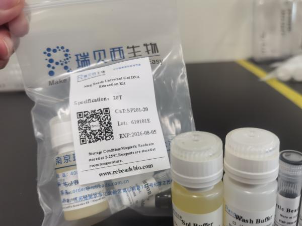 Quality Mag Beads Large Volume Gel DNA Extraction Kit High Purity Rapid And Efficient for sale