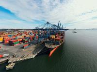 Quality General Cargo Shipping Services From Ningbo To Jakarta for sale