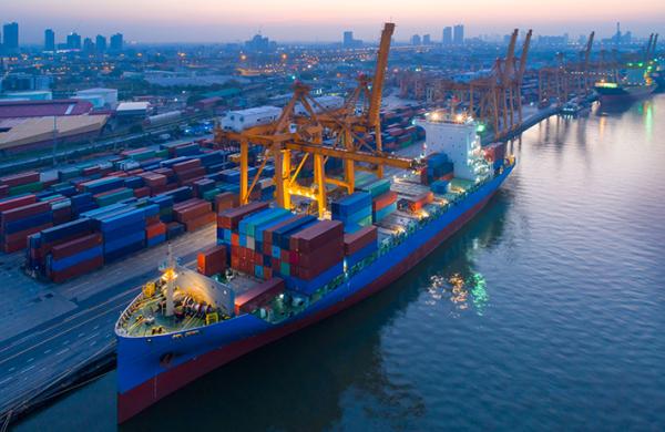 Quality FCL LCL International Ocean Freight Shipping Bulk Cargo Preferred for sale