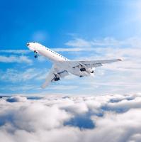 Quality International Express Shipping for sale