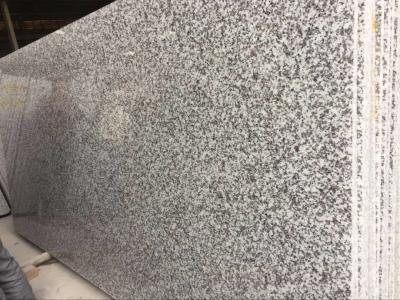 China Chinese G439  Granite Stone Kitchen Countertop For Your Kithcen Decoration for sale