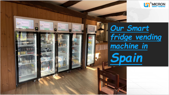 Accept customize E-wallet vending machine to sell snack drink food cigarette