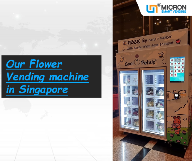 Accept customize E-wallet vending machine to sell snack drink food cigarette