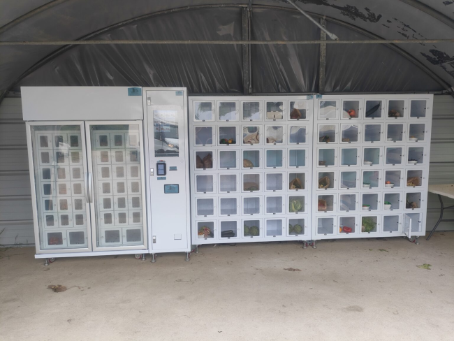Customizable Lockers Smart Cooling Freezing Systems for Fresh Frozen Farm Products Vending Machine
