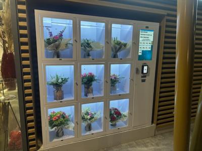 China 24/7 Self Service Cooling Locker Machine For Fresh Flowers Pot Plants Cholocate Vending Machine for sale