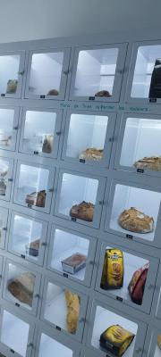 Cina Macchina di vendite personalizzabile 110V/220V-240V per il marchio di panificazione in vendita