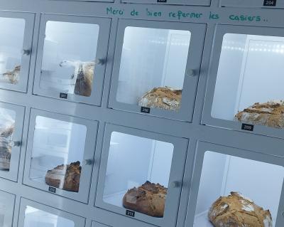 Cina Macchina di vendite personalizzabile 110V/220V-240V per il marchio di panificazione in vendita