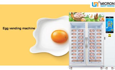 China Máquina de venda automática refrigerando personalizada do cacifo do tela táctil de 22 polegadas para o ovo com sistema esperto à venda