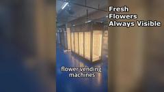 Transparent flower vending machine