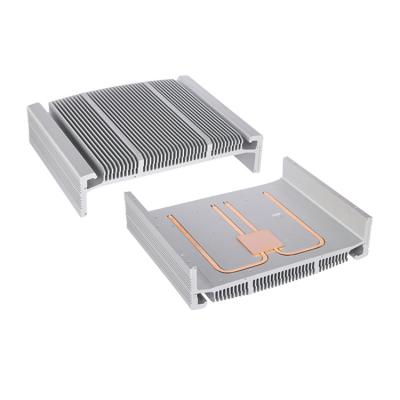 Cina Dissipatore di calore di alluminio di raffreddamento dei profilati estrusi del modulo in vendita