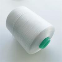 China Customization 6000D Polyester Thread For Sewing Machine Raw White for sale