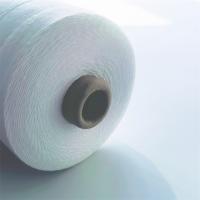 China High Tenacity Polyester Sewing Yarn 300D*3 100 Polyester Thread for sale