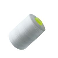 China High Tenacity Sewing Thread 5000 Yards 102 1x2 Twist for Canvas Garment Manufacturing for sale