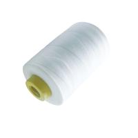 China High Tenacity Sewing Thread 5000 Yards 102 1x2 Twist for Canvas Garment Manufacturing for sale