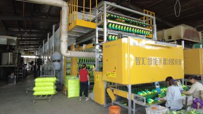 China 220V 380V Nitrile Glove Manufacturing Equipment PLC Touch Screen for sale